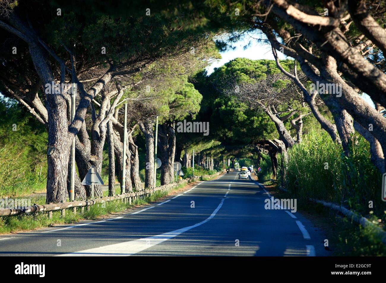 D559 france hi-res stock photography and images - Alamy