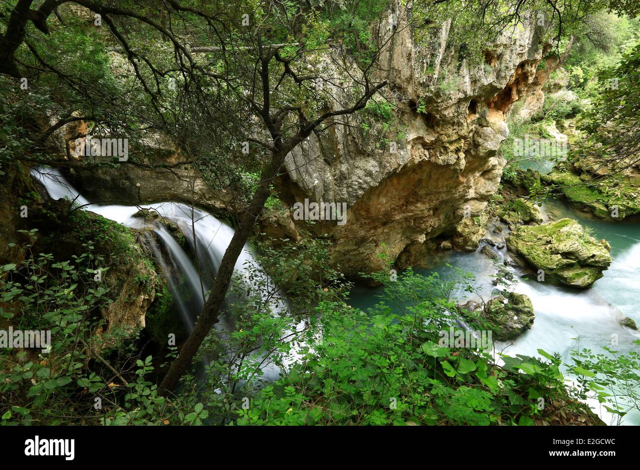 France Var Vidauban Argens river in Entraygues Stock Photo - Alamy