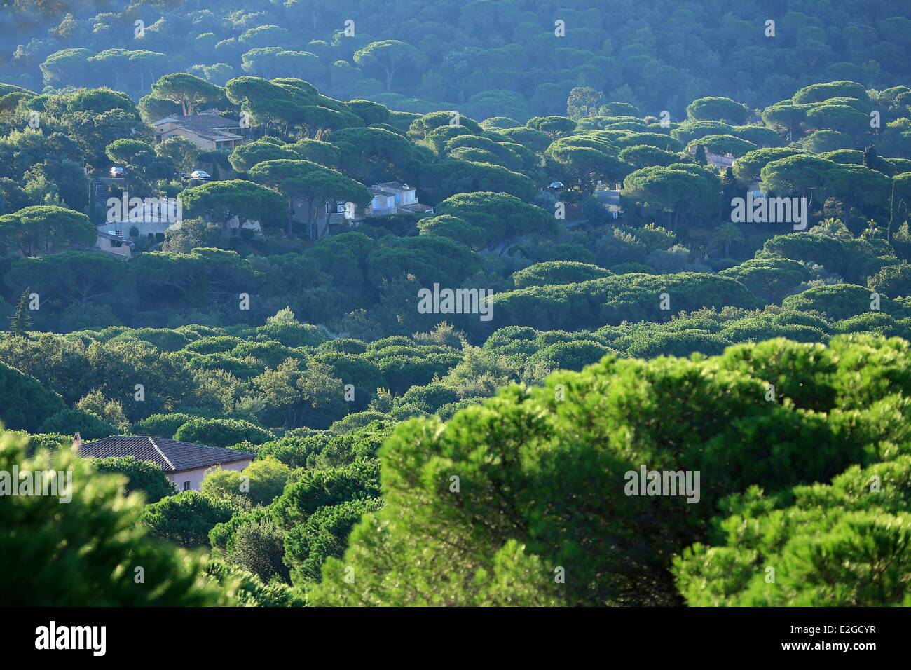 France Var Saint Tropez peninsula La Croix Valmer Col de Collebasse ...