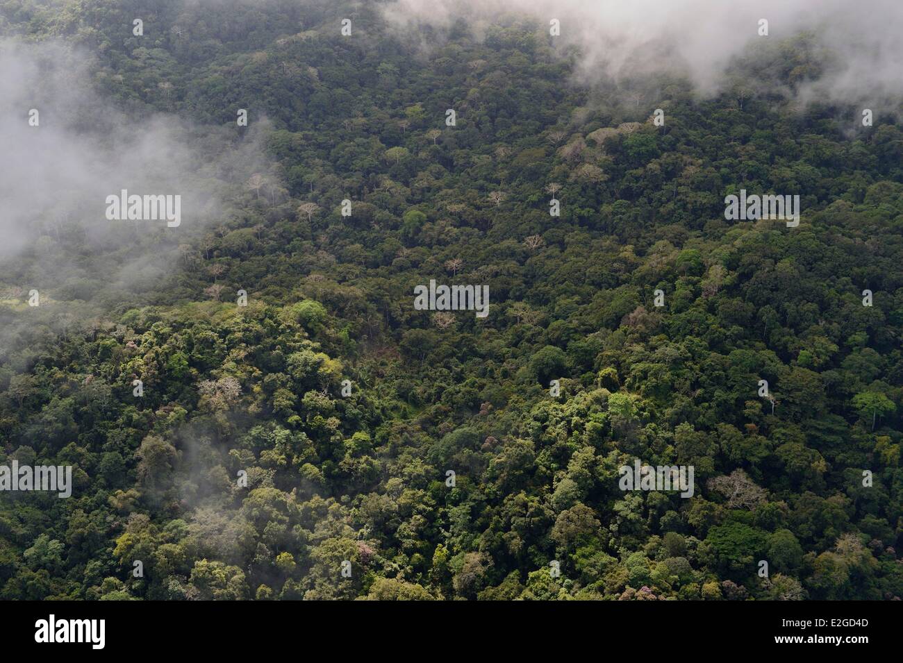 Panama rainforest near Panama Canal (aerial view Stock Photo - Alamy