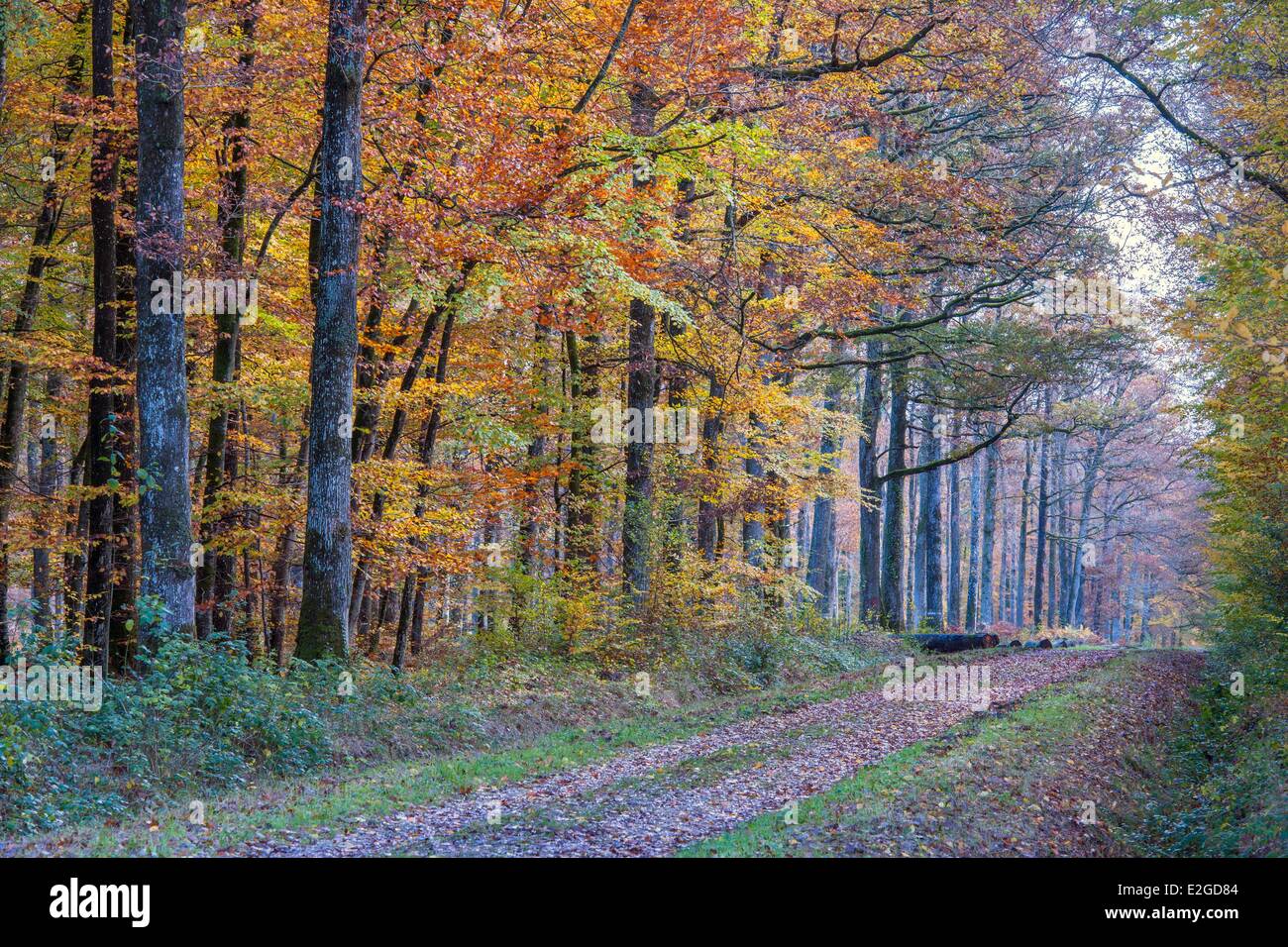 Perche National Park France High Resolution Stock Photography and ...