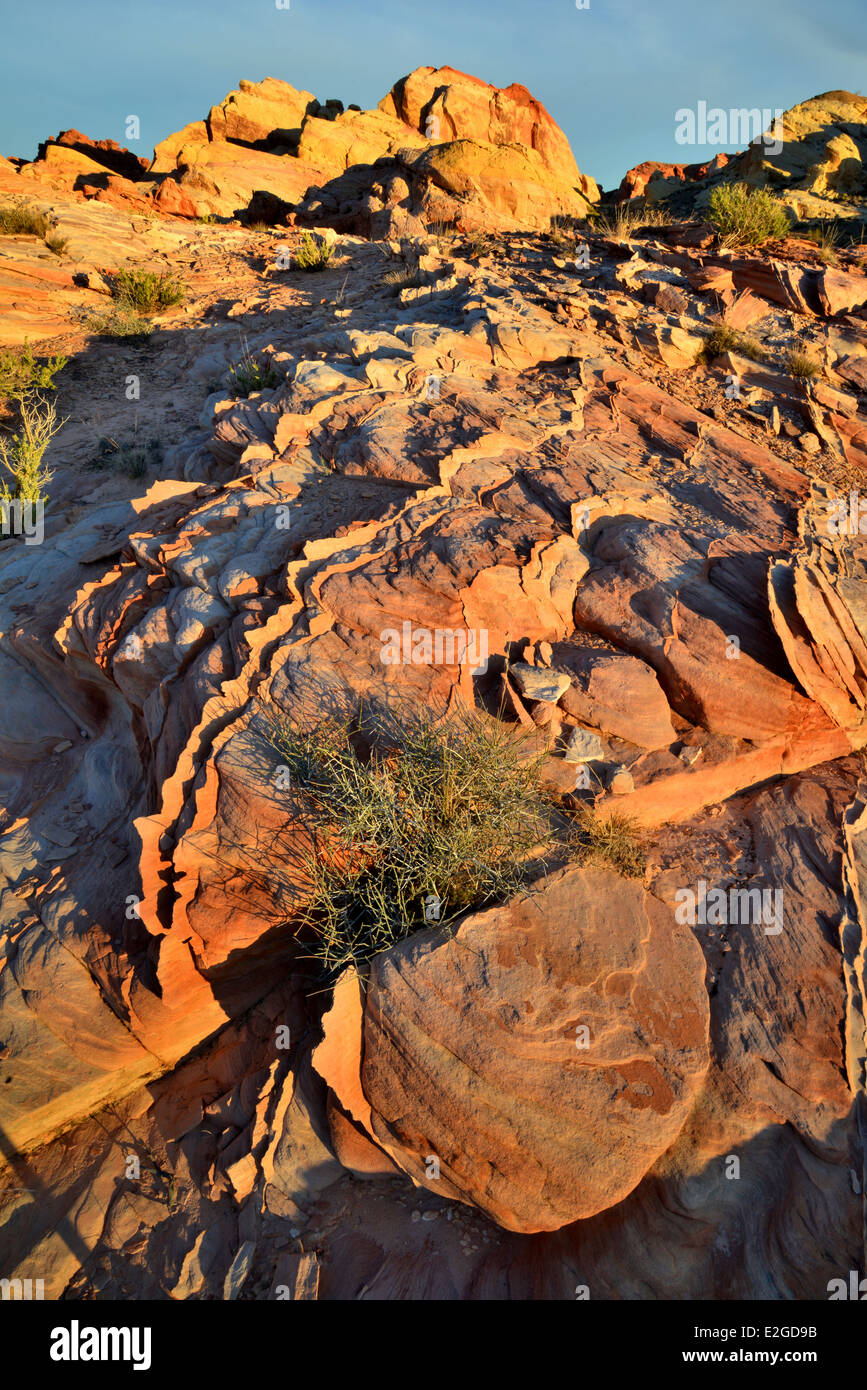 Colorful sandstone in Valley of Fire State Park north of Las Vegas in ...