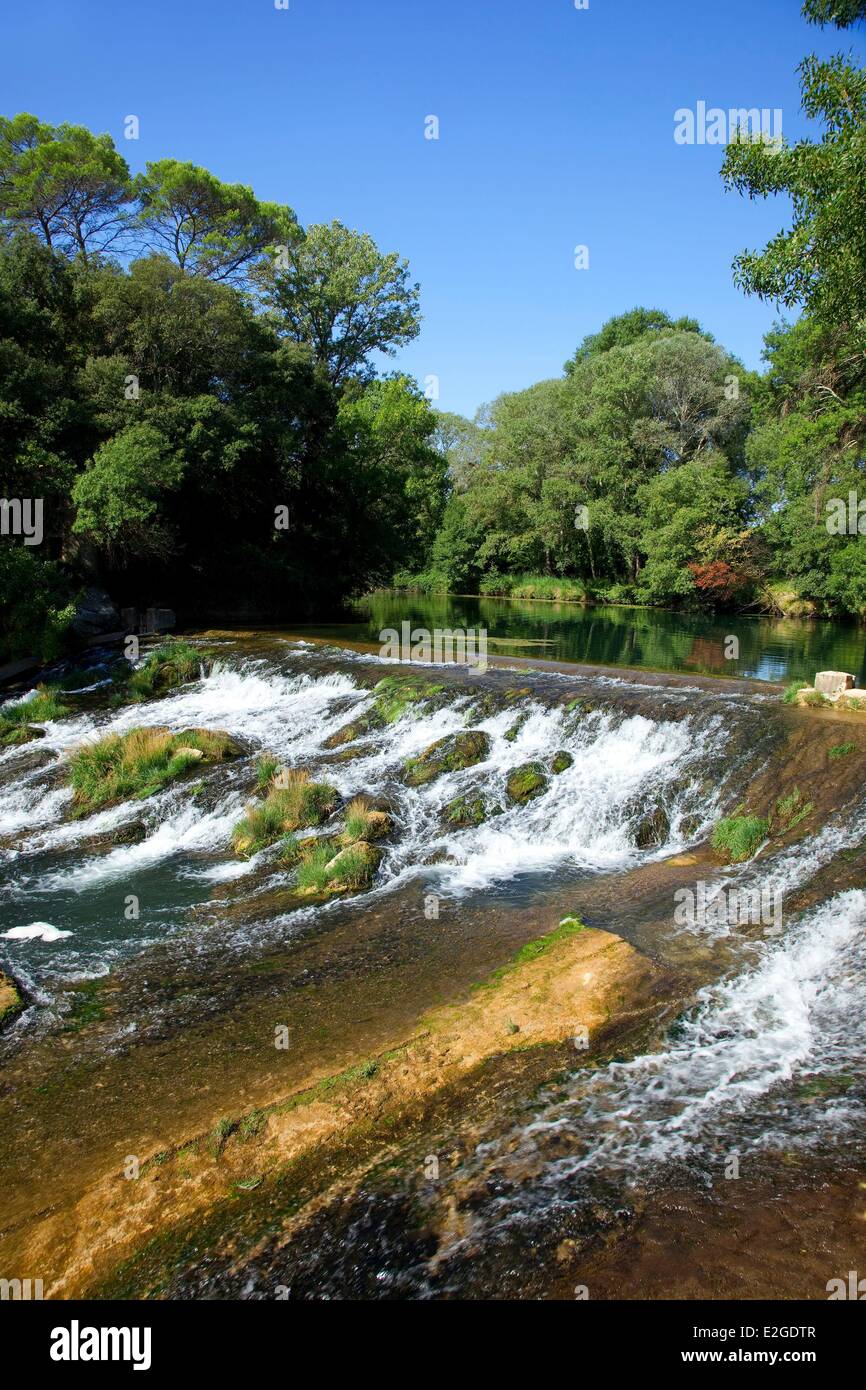 France Var Provence Verte Vallee de l'Argens canoeing on Argens between ...