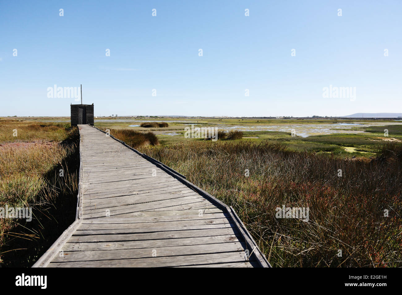 Wooden boardwalk leading to a birding hut on the Berg River estuary in ...