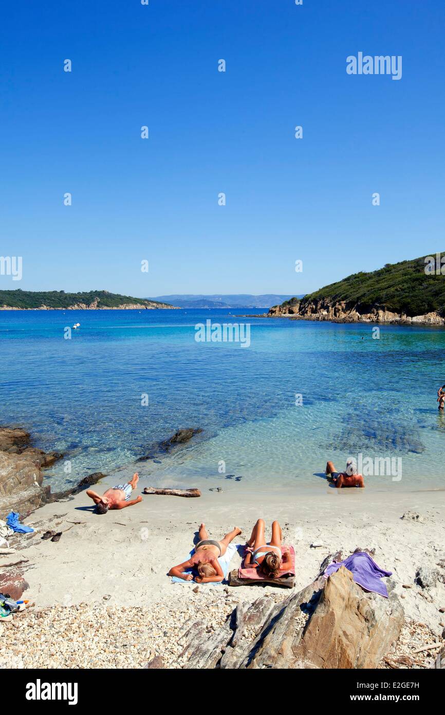 France Var Hyeres Islands National Park of Port Cros island of Port ...