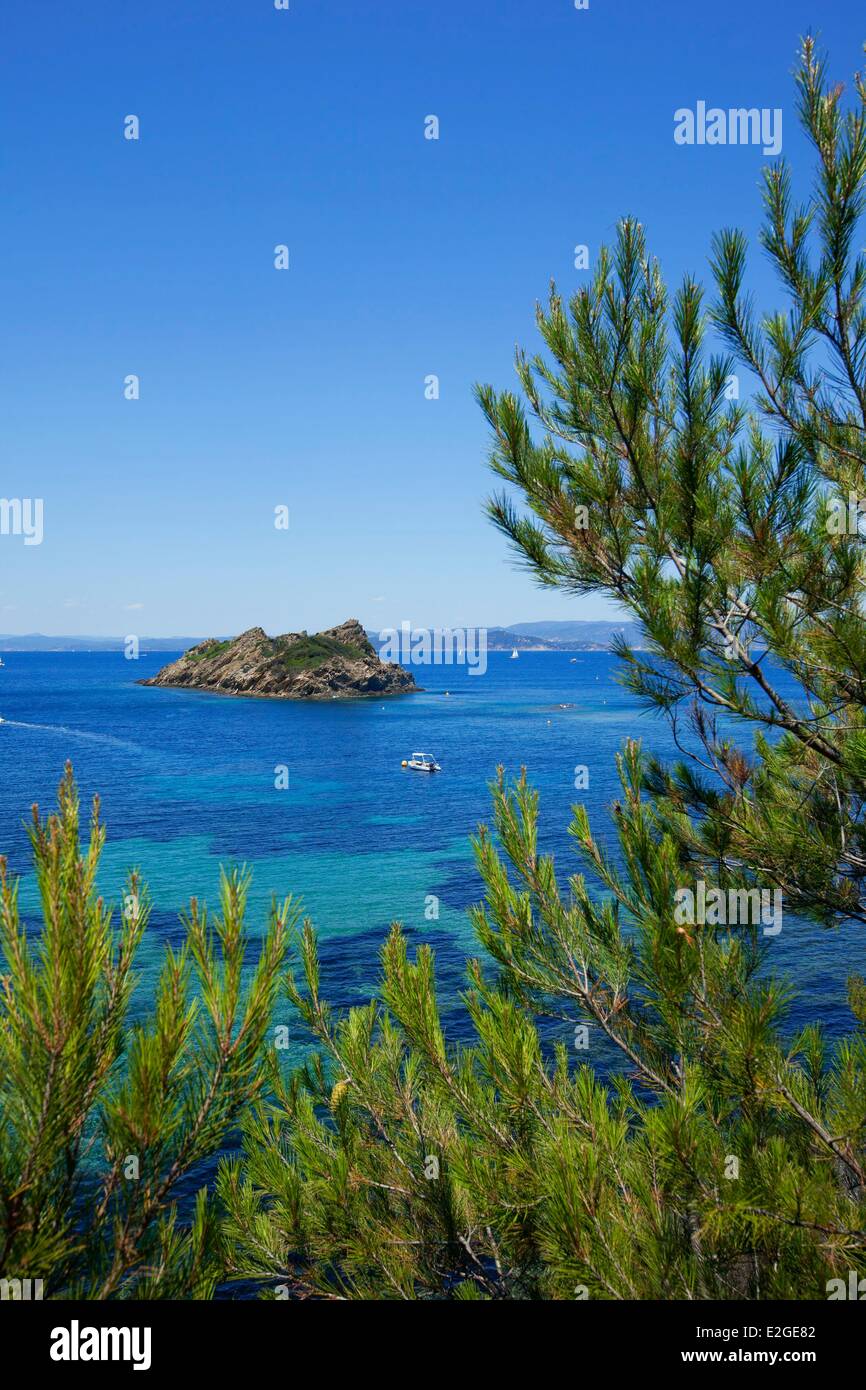 France Var Hyeres Islands National Park of Port Cros island of Port ...