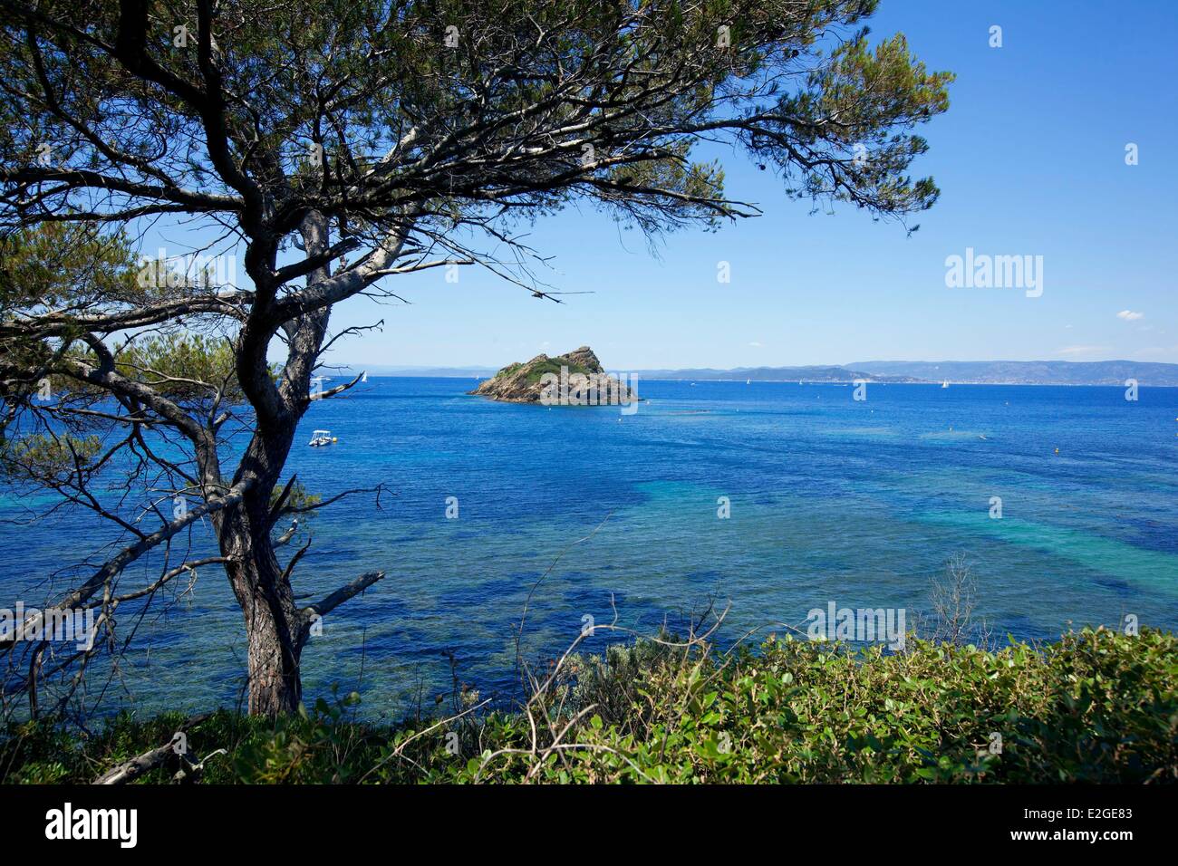 France Var Hyeres Islands National Park of Port Cros island of Port ...