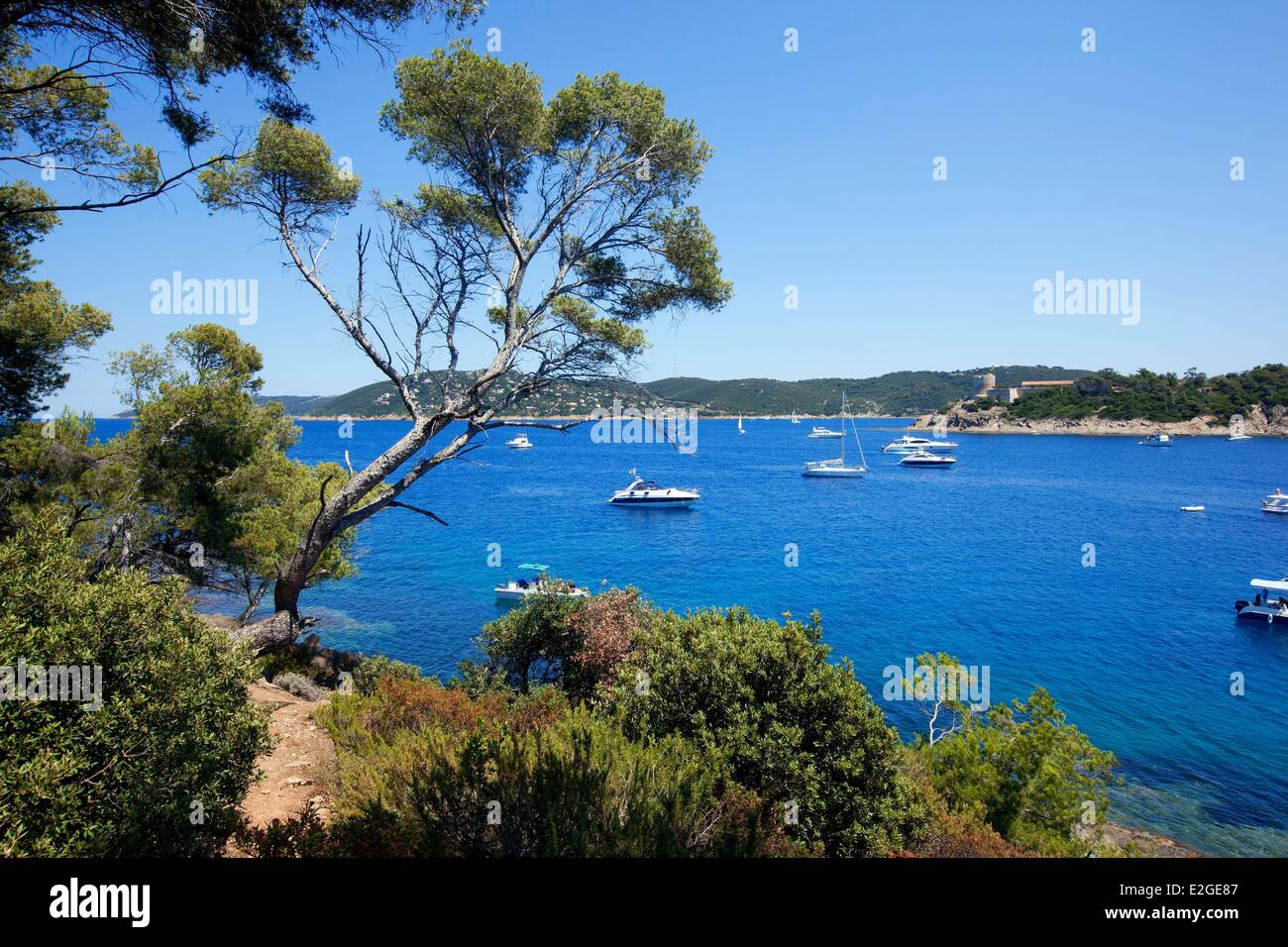 France Var Hyeres Islands National Park of Port Cros island of Port ...