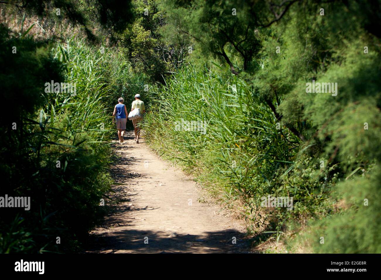 France Var Hyeres Islands National Park of Port Cros island of Port ...