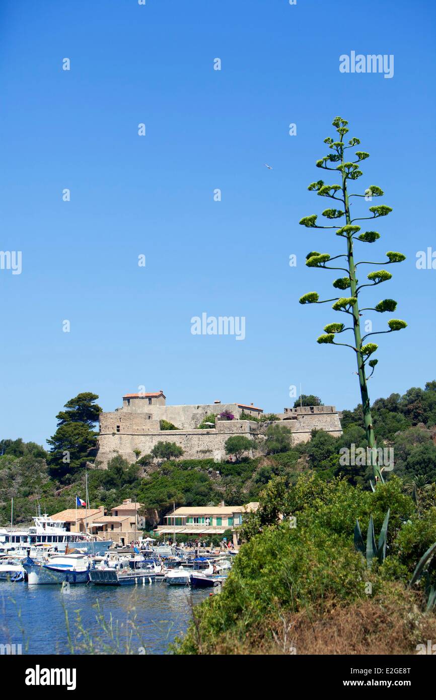 France Var Hyeres Islands National Park of Port Cros island of Port ...