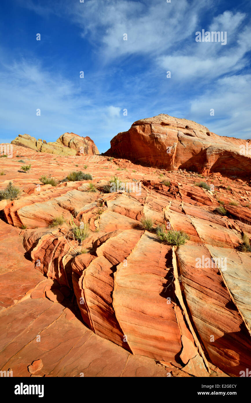 Colorful sandstone in Valley of Fire State Park north of Las Vegas in ...