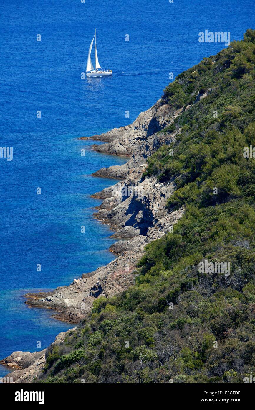 France Var Hyeres Islands National Park of Port Cros island of Port ...