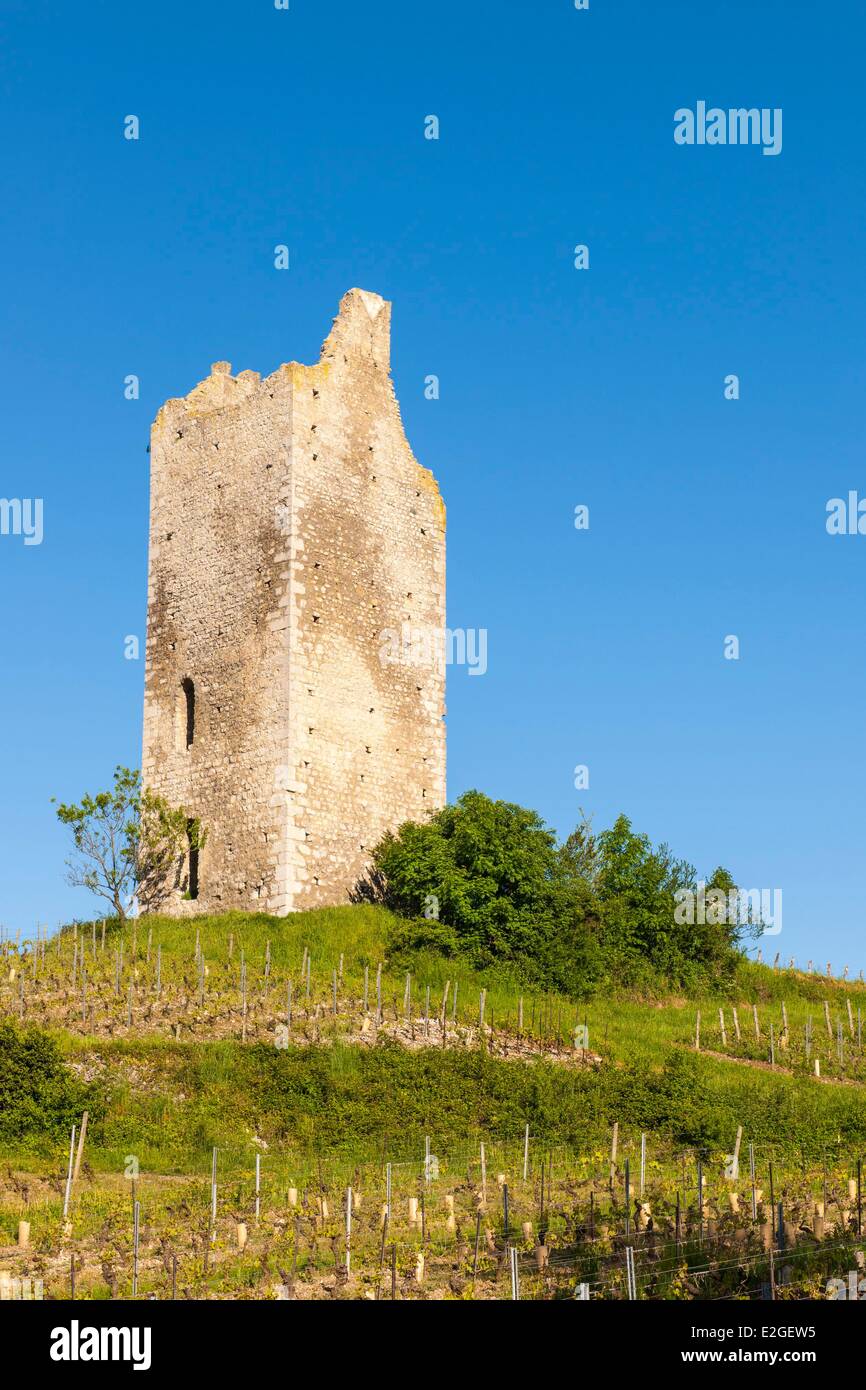 France Savoie Chignin vineyard AOC wine of Savoie one of seven Chignin ...