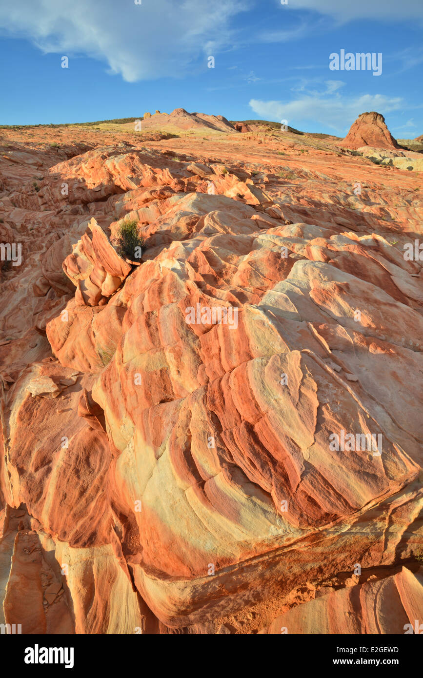 Colorful sandstone in Valley of Fire State Park north of Las Vegas in ...