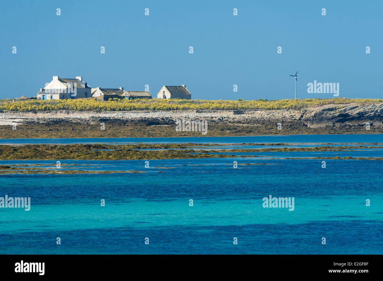 France Finistere Le Conquet farm on Quemenes island in archipelago of ...