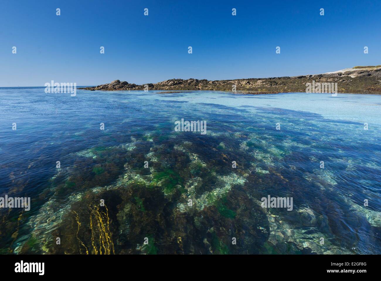 France Finistere Le Conquet Quemenes island in archipelago of Molene ...