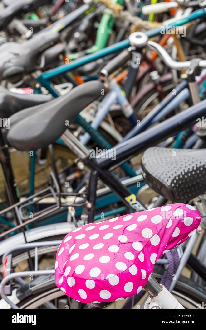 Netherlands South Holland Rotterdam bicycle parking at railway station ...