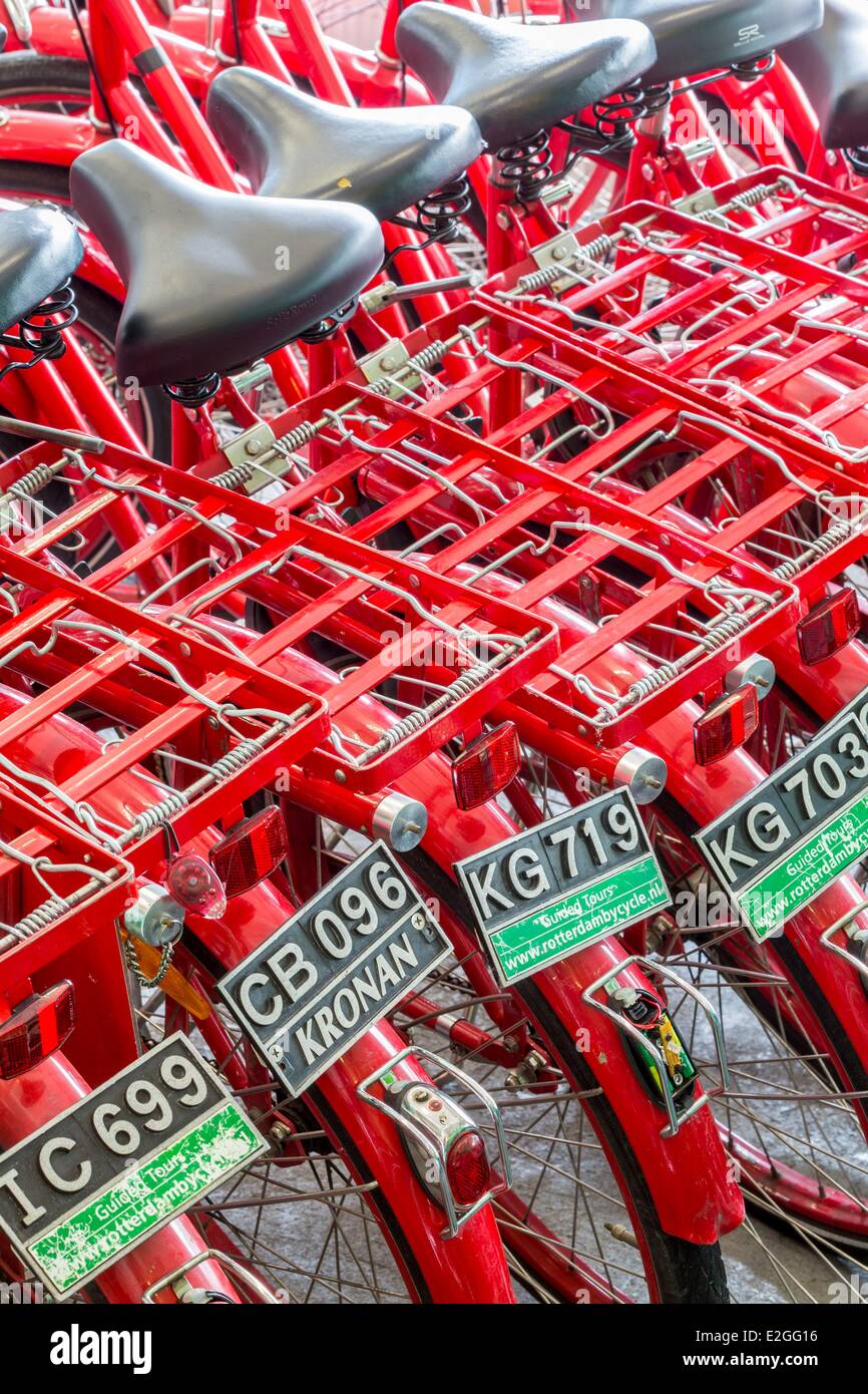 Netherlands South Holland Rotterdam Rotterdam ByCycle organizing guided ...