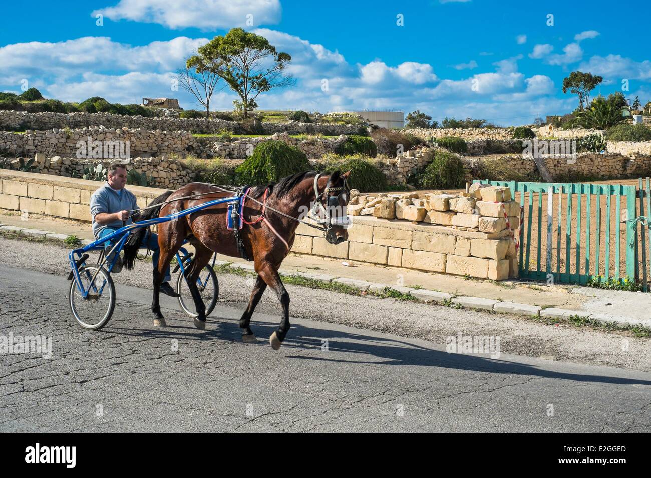 Malta Marsaxlokk Malta is famous for its horse racing Stock Photo - Alamy