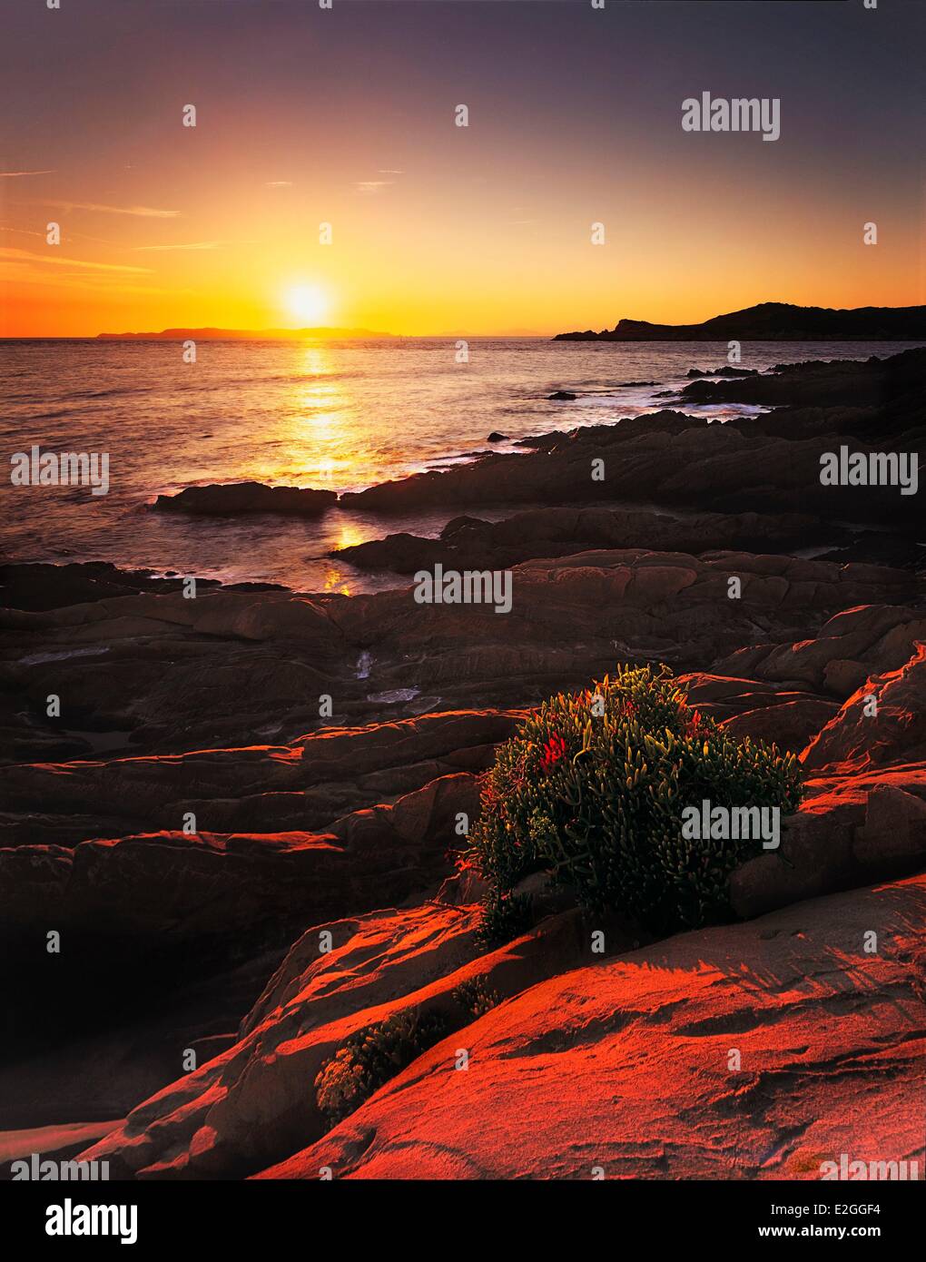 France Var Parc National de Port Cros (Port Cros National Park) sunset ...