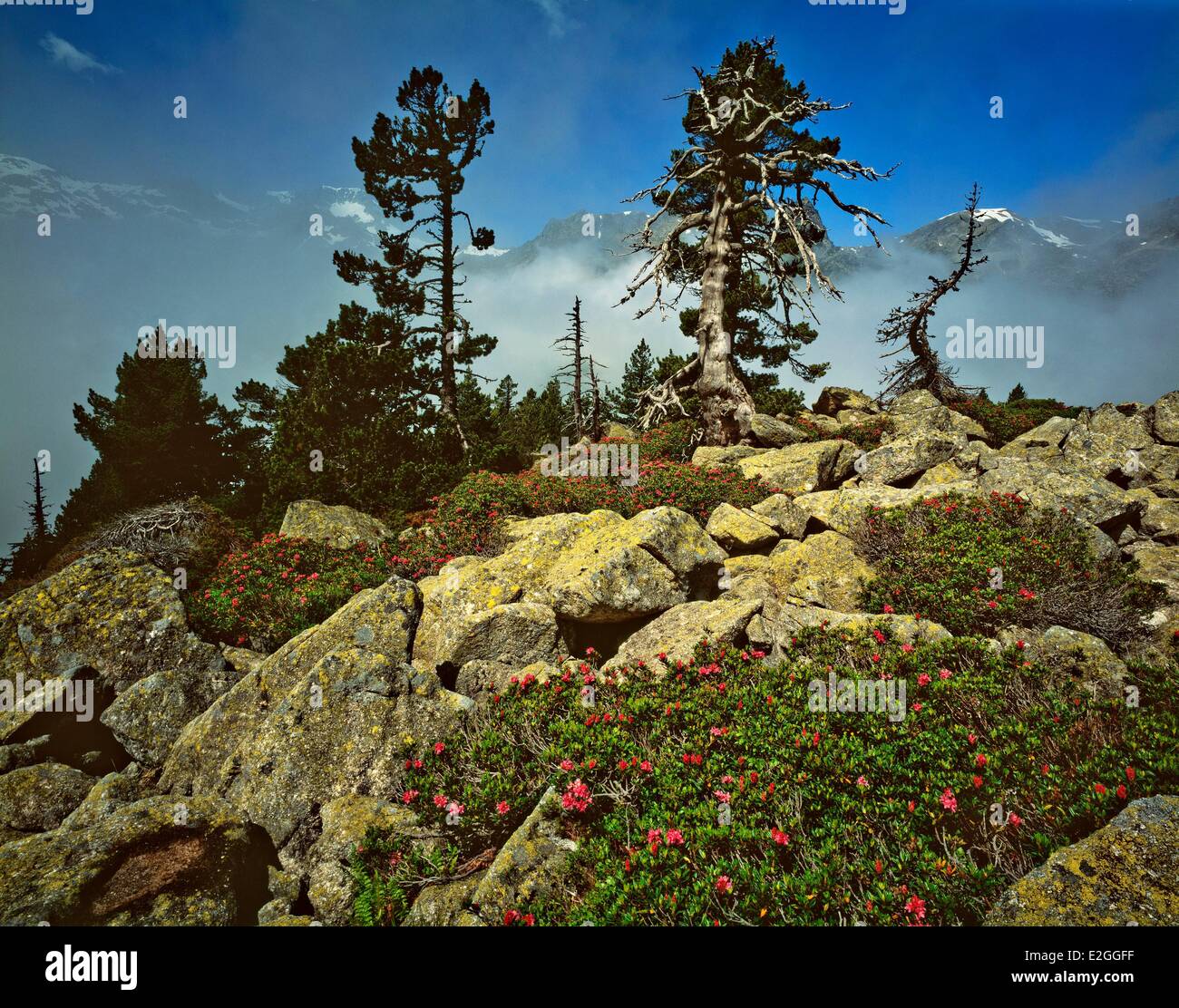 France Hautes Pyrenees Parc National des Pyrenees (Pyrenees National ...