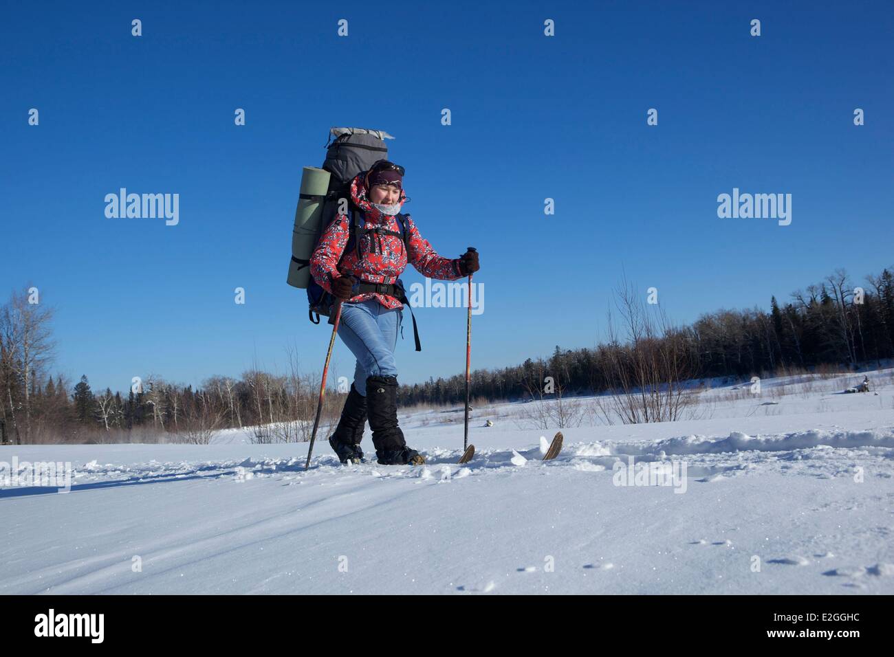 Russia Siberia country ski on forests nearby Snejaia river on Khamar ...