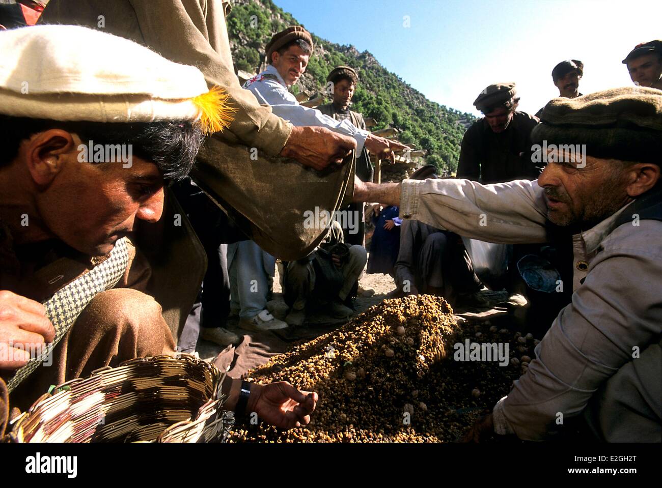 Pakistan Khyber Pakhtunkhwa Kalash valleys Bumburet valley Kalash ...