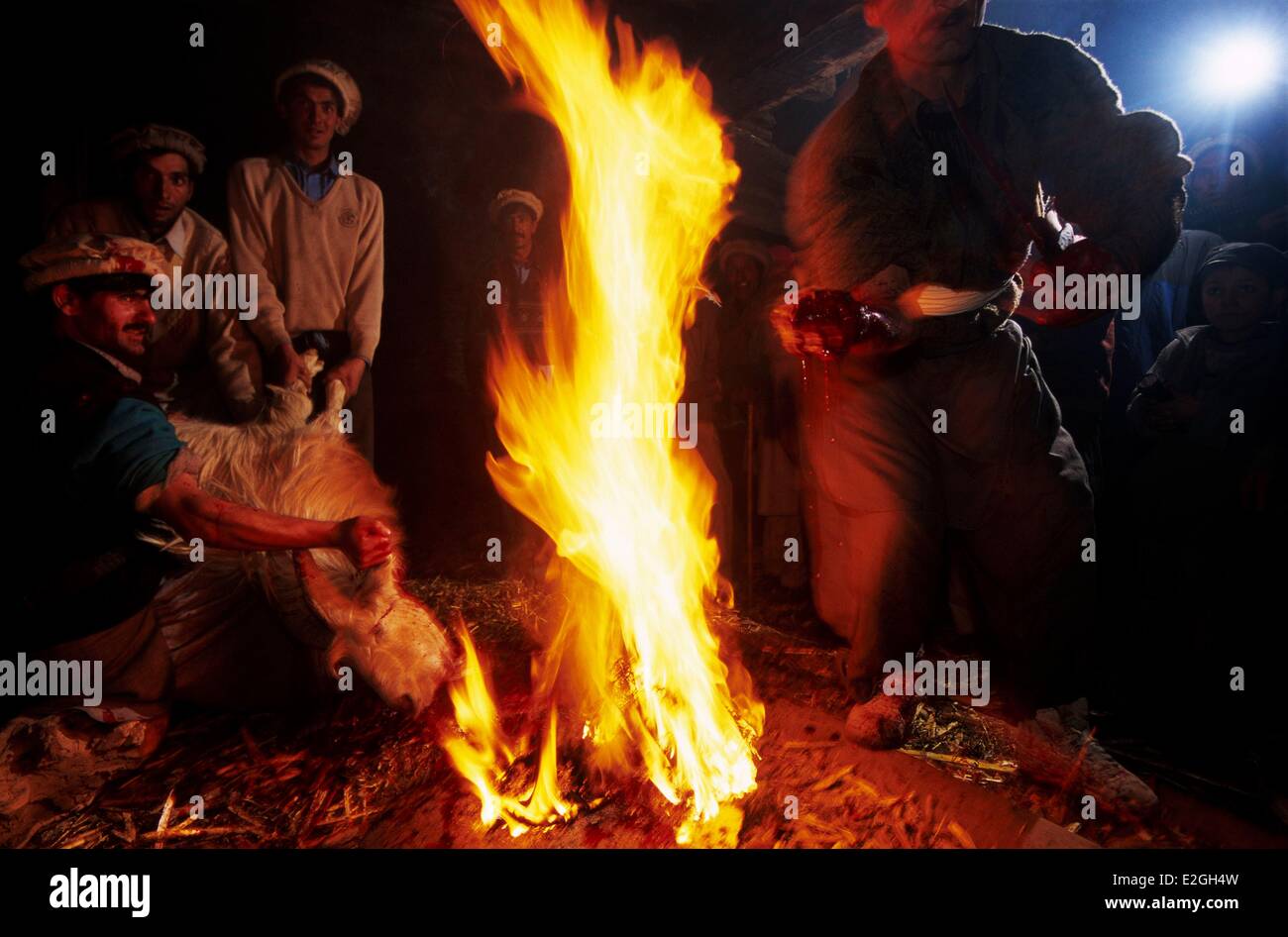 Pakistan Khyber Pakhtunkhwa Kalash valleys Bumburet valley sacrifice of ...