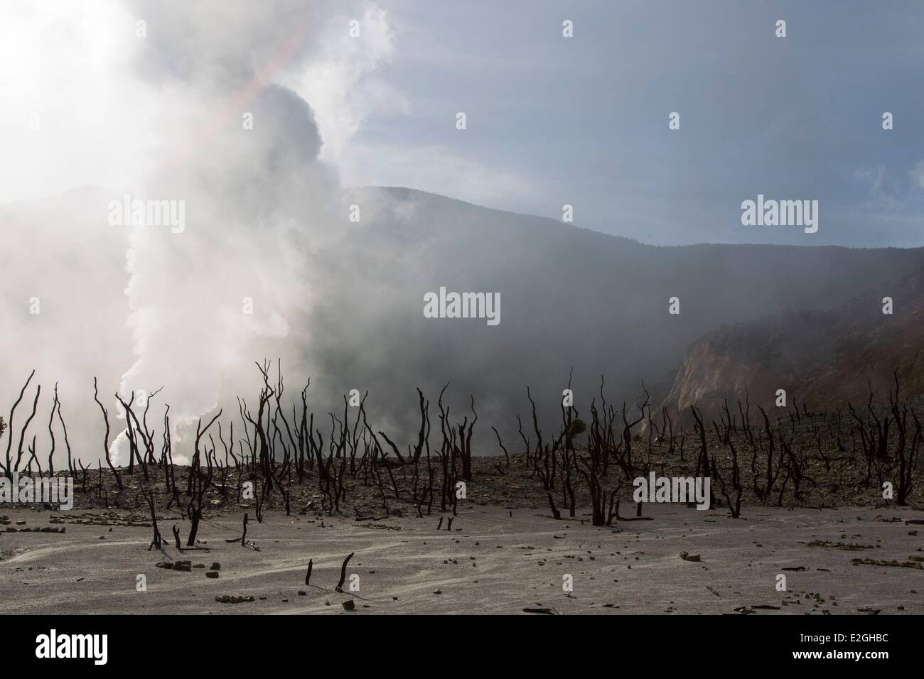 Indonesia Java Island West Java province Papandayan volcano (2665m ...