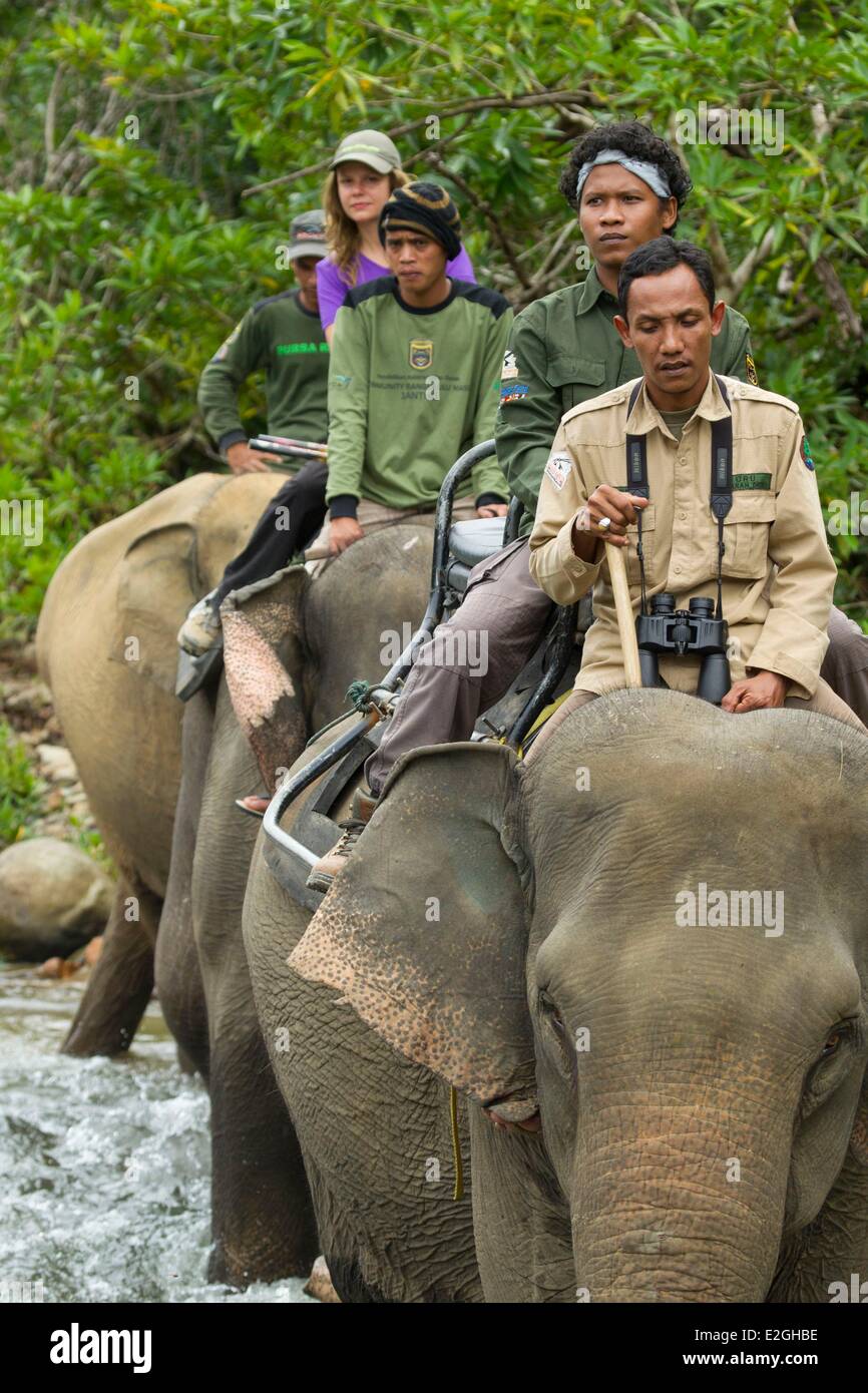 Indonesia Sumatra Island Aceh province Sampoiniet tourist doing a trek ...