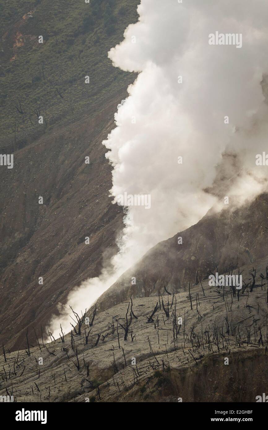 Indonesia Java Island West Java province Papandayan volcano (2665m ...