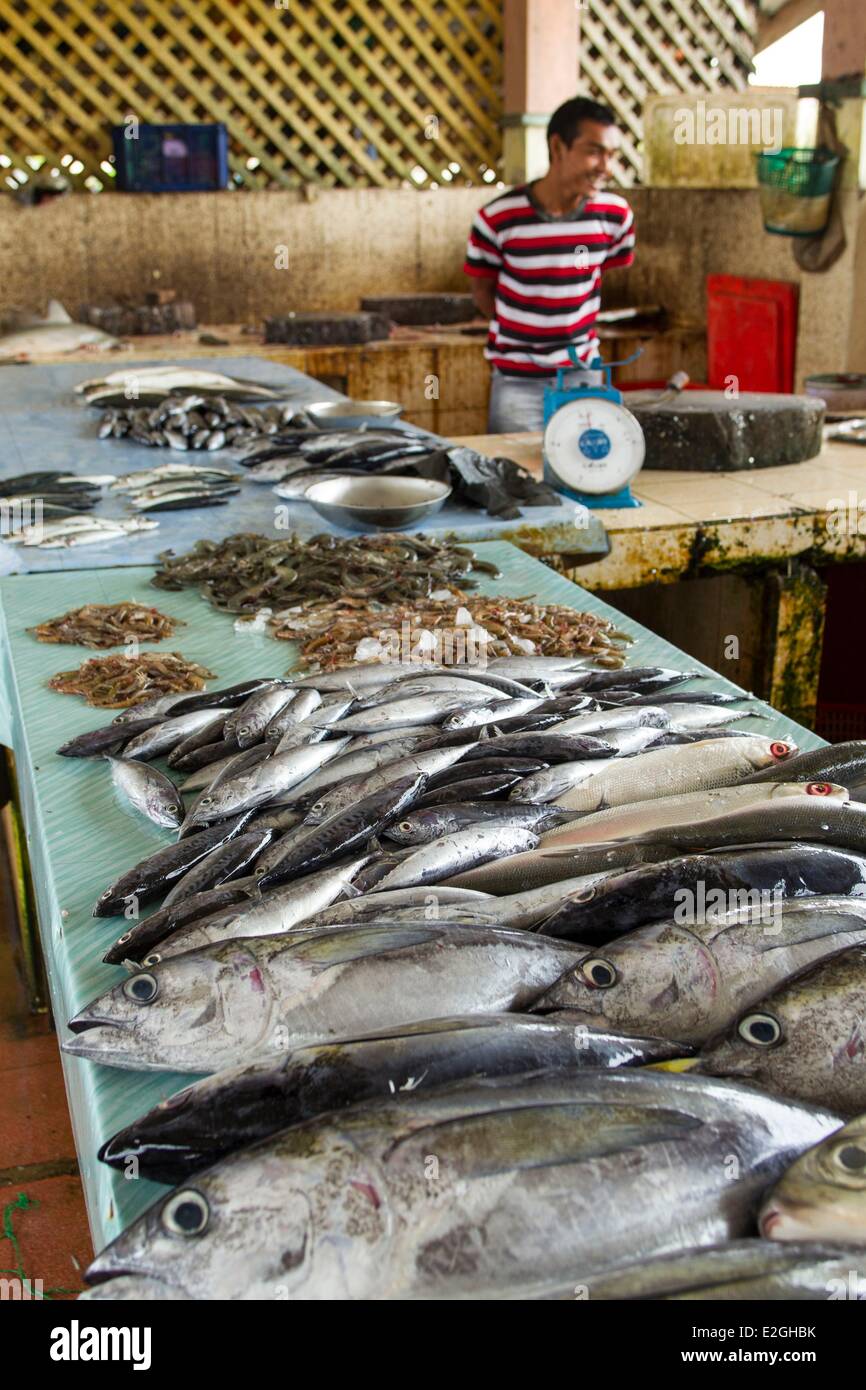 Indonesia Sumatra Island Aceh province Calang Traditional fish market ...