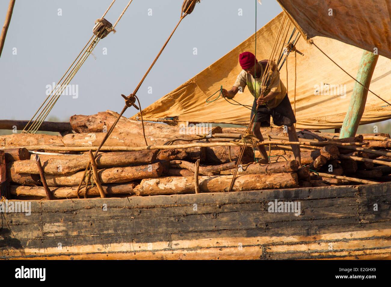 Madagascar Mahajunga Bombetoka Traditional boat carrying wood logs ...