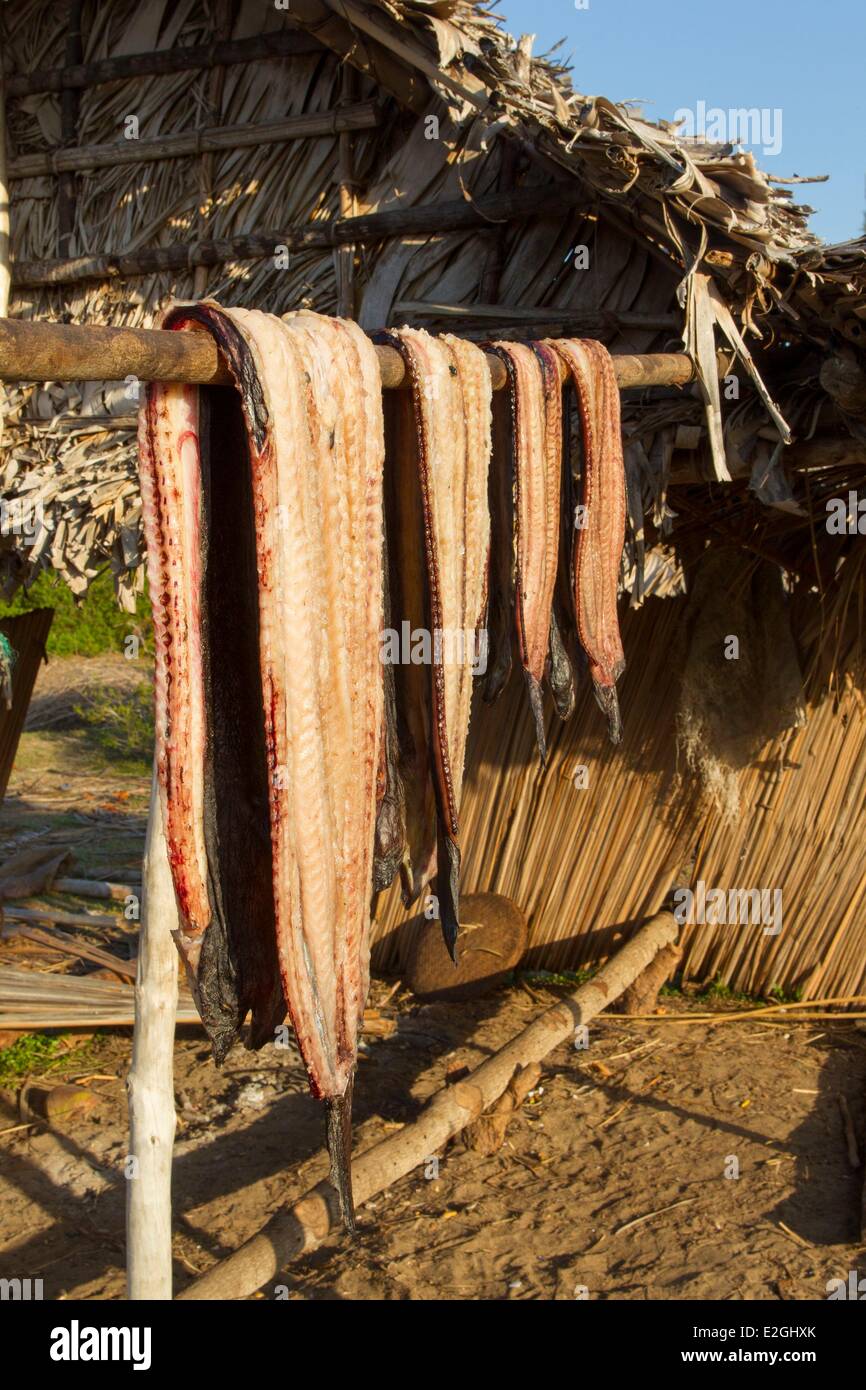 Madagascar Loky-Manambato protected area Daraina Sahaka lake Eels ...