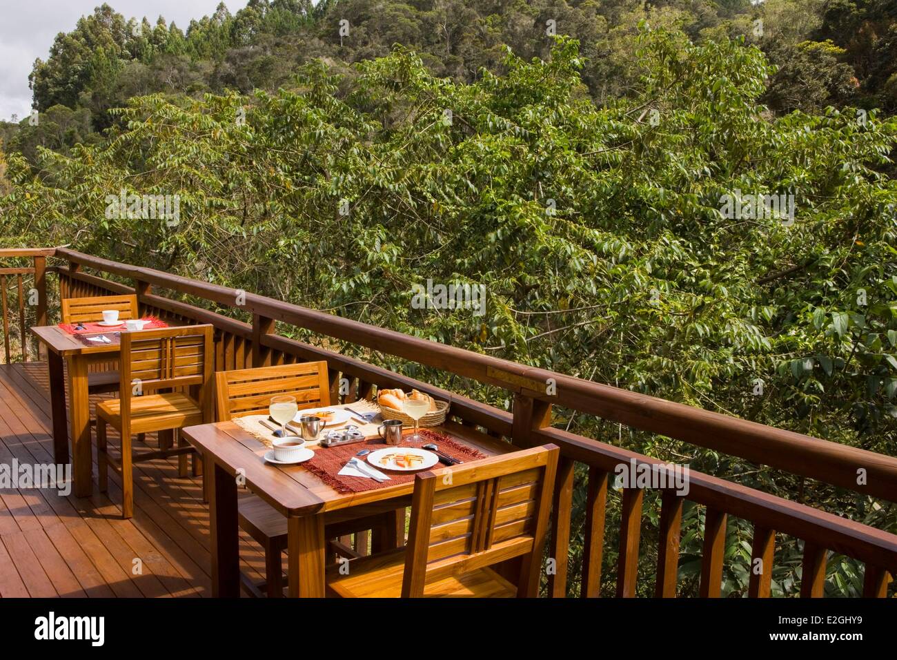 Madagascar Highlands Anjozorobe Angavo protected area Saha Forest Camp ...