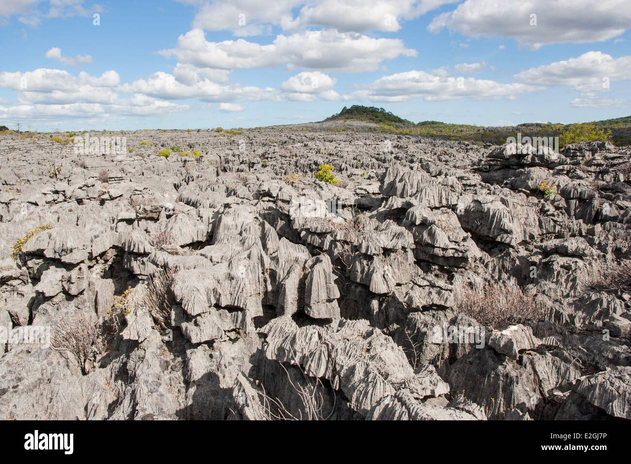 Madagascar Ankarana National Park Tsingys Limestones Stock Photo - Alamy