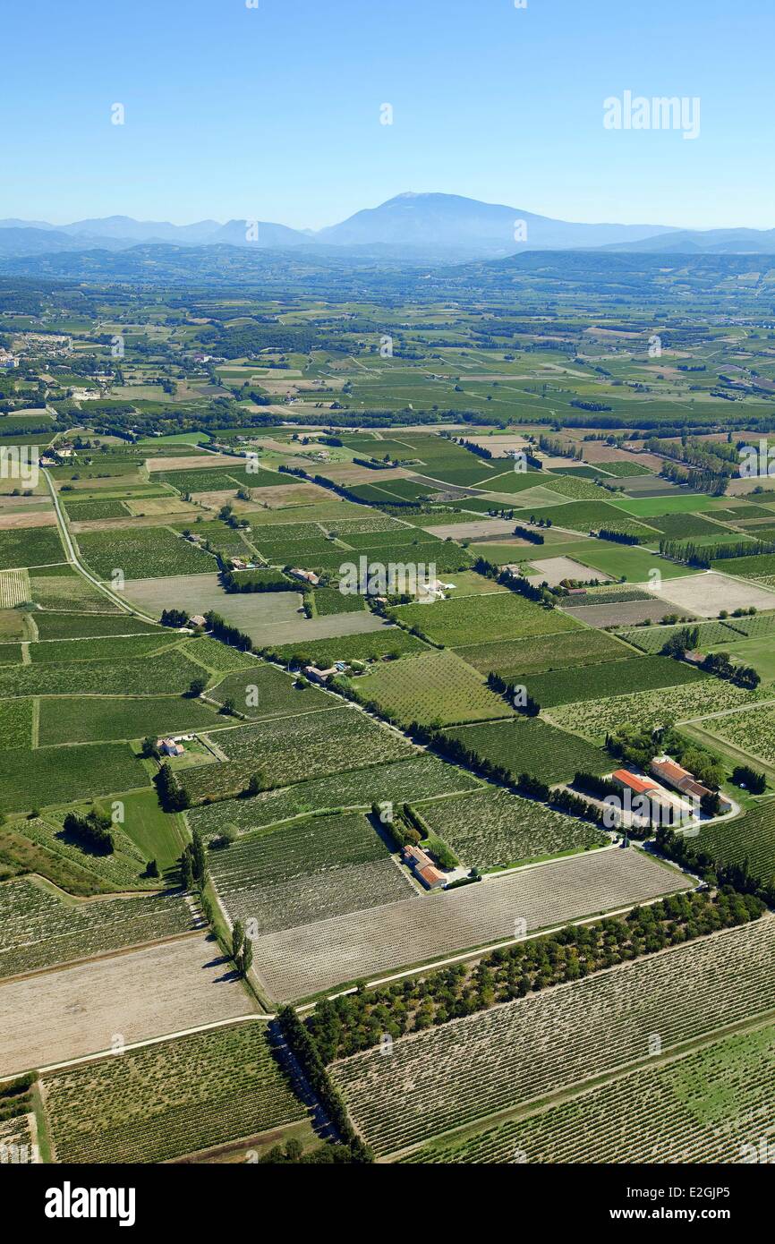 France Drome Tulette vine at bottom of Mont Ventoux (aerial view Stock ...