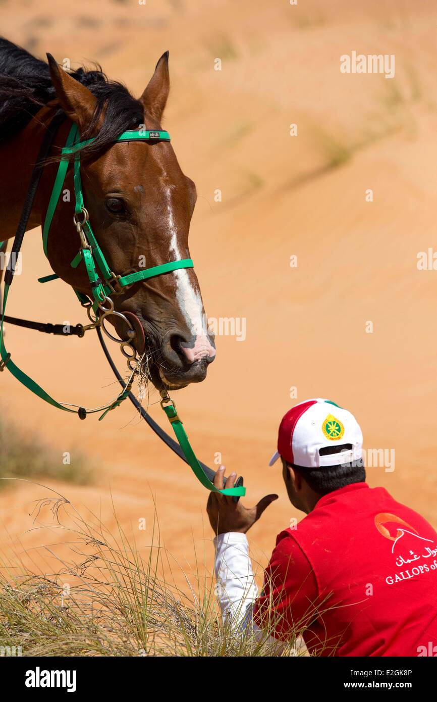 Horse riding first person hi-res stock photography and images - Alamy