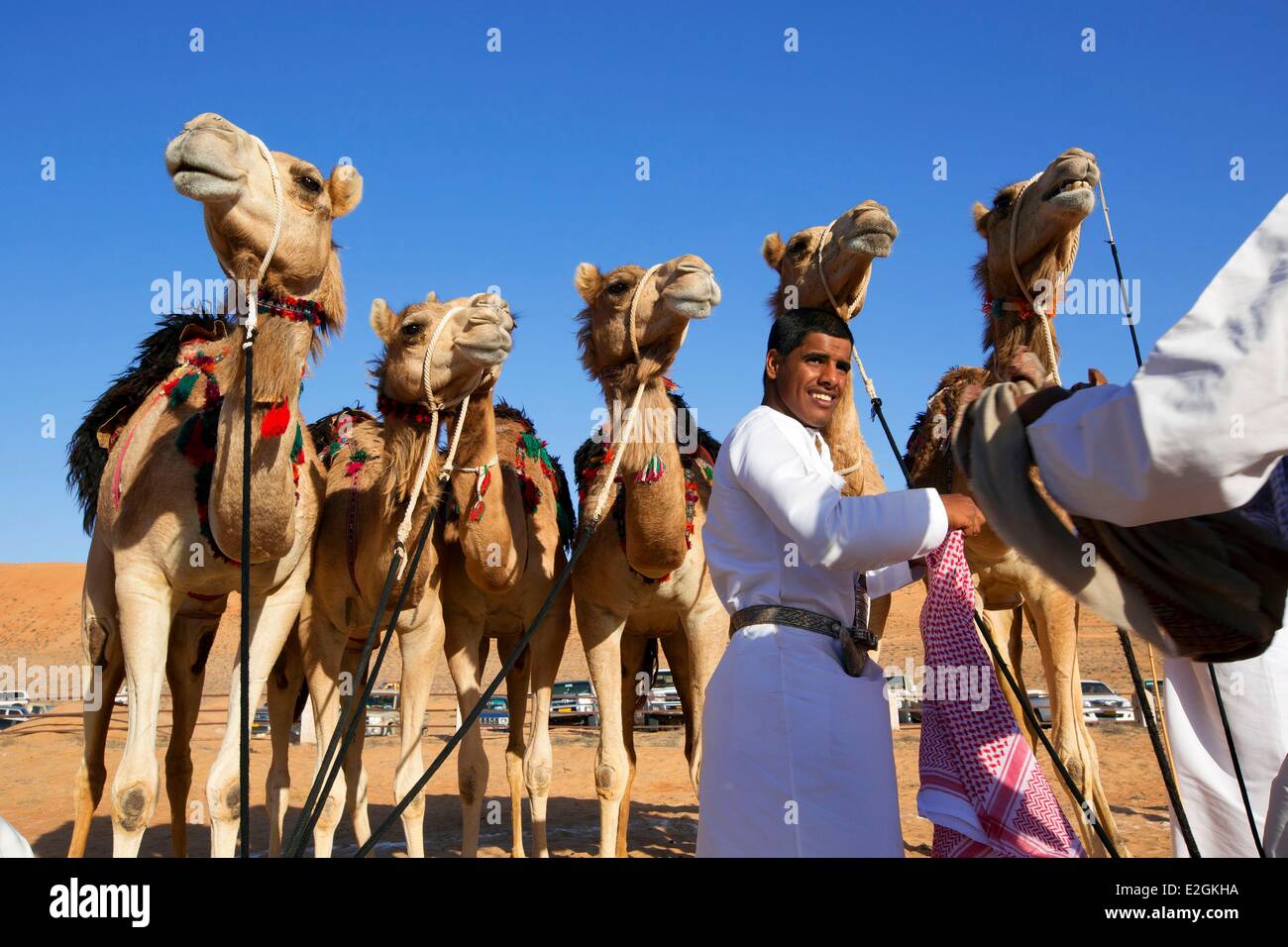 Sultanate of Oman Ash Sharqiyyah region Wahiba Sands Tawi Wareed 1000 ...