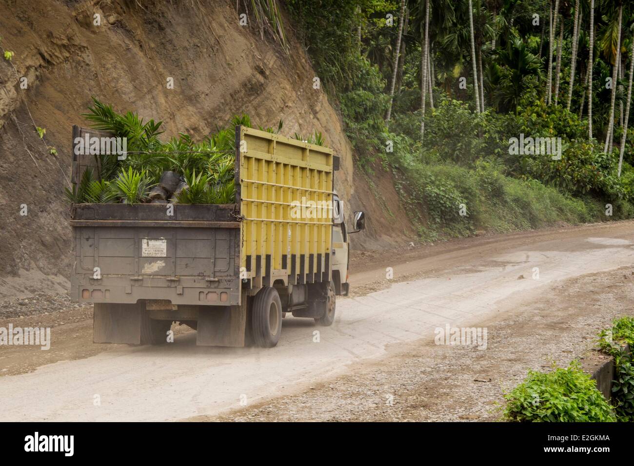 Palm deforestation indonesia truck hi-res stock photography and images ...