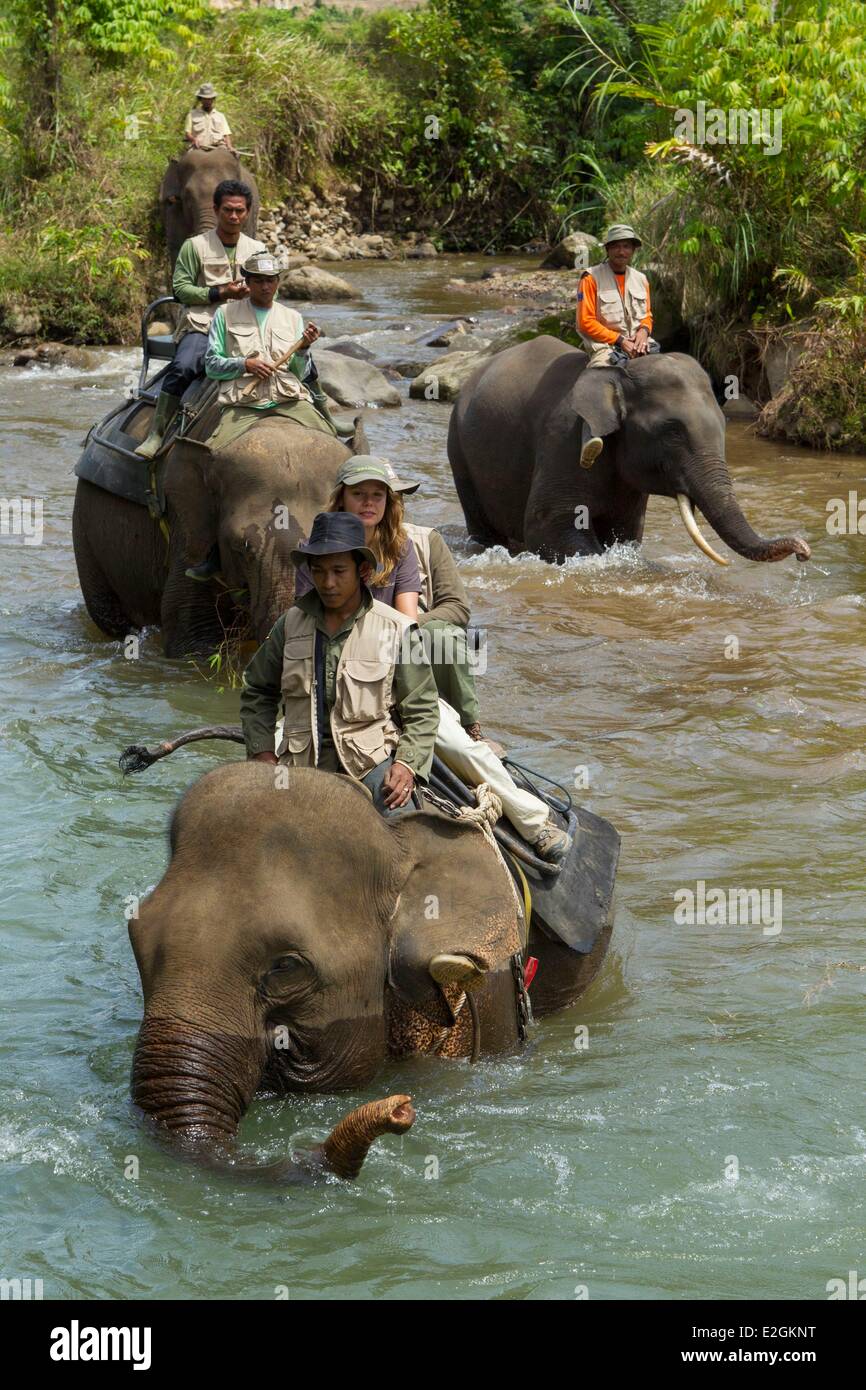 Indonesia Sumatra Island Aceh province Elephant trekking crossing a ...