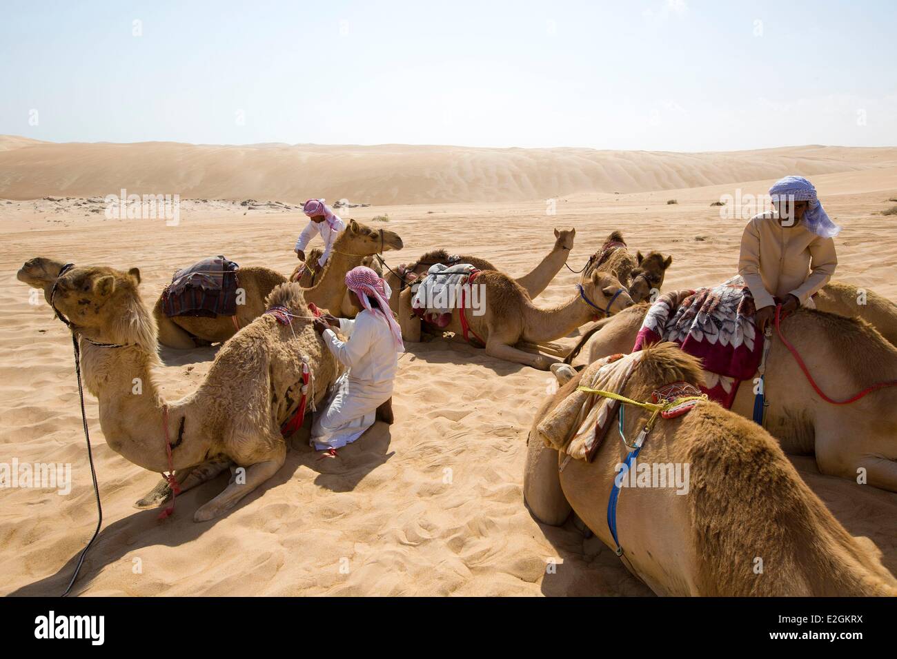 Sultanate of Oman Ash Sharqiyyah region Wahiba Sands Qihayd Bedouins ...