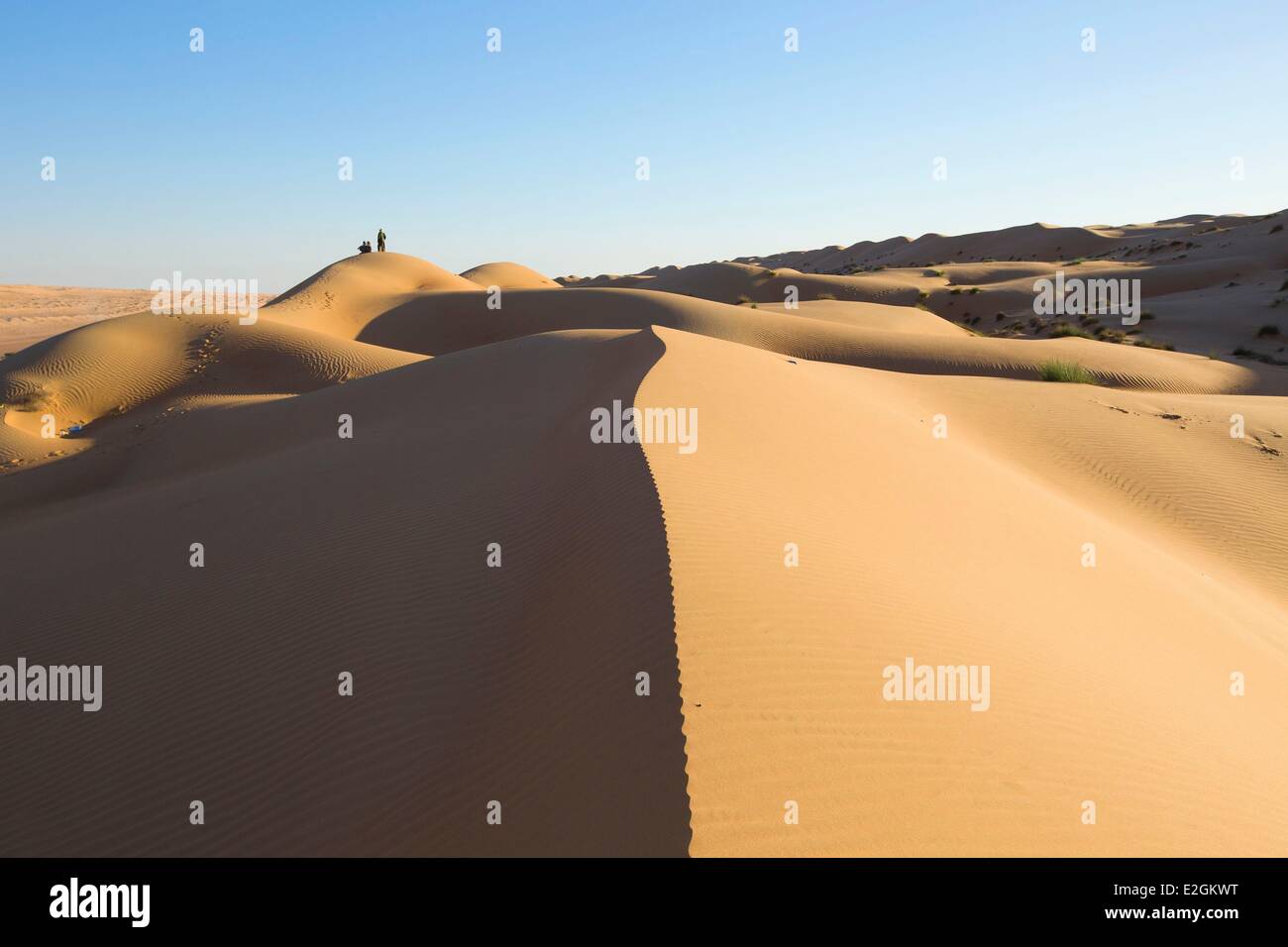 Sultanate of Oman Ash Sharqiyyah region Wahiba Sands Al Rakah Stock ...