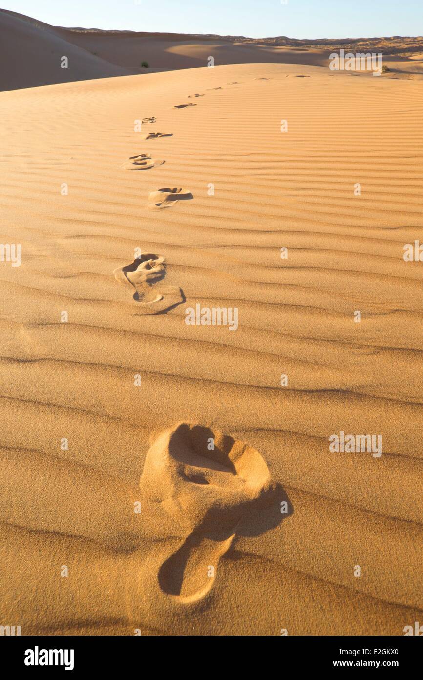 Sultanate of Oman Ash Sharqiyyah region Wahiba Sands Al Rakah Stock ...