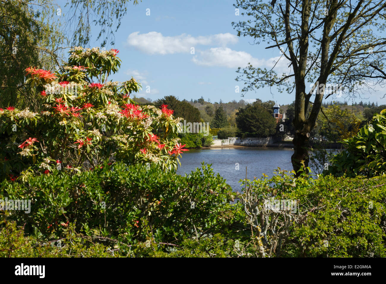 New forest lake hi-res stock photography and images - Alamy