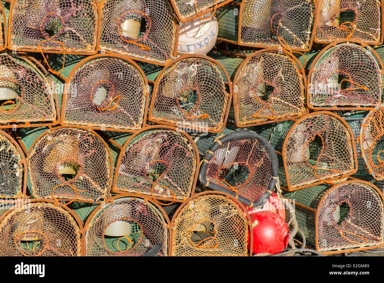 Octopus trap hi-res stock photography and images - Alamy