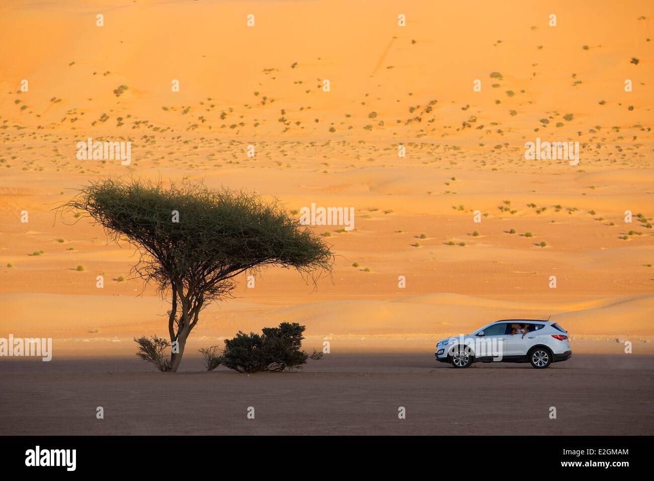 Sultanate of Oman Ash Sharqiyyah region Wahiba Sands Bidiyyah Al Rakah ...