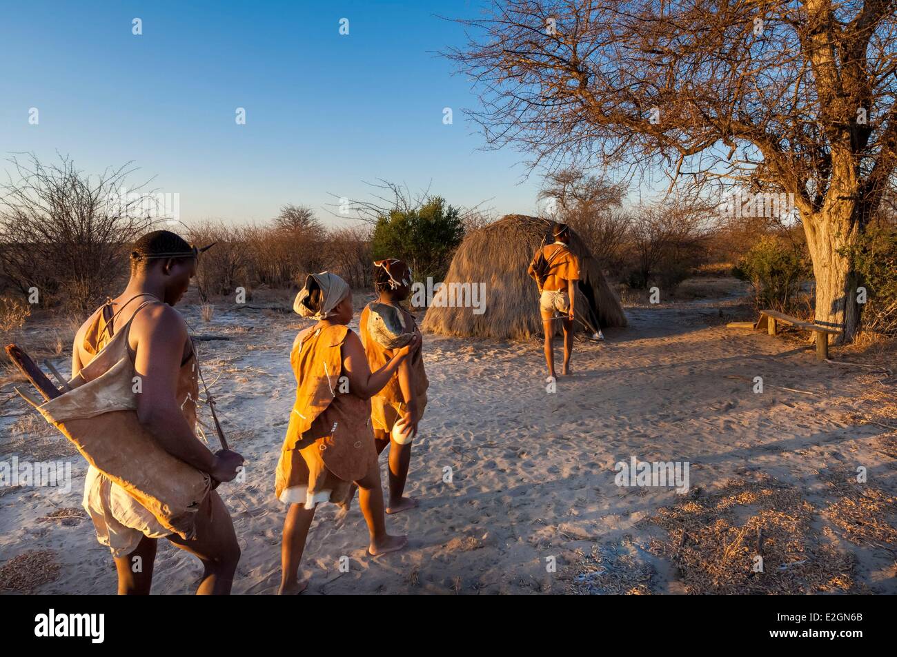 Botswana Central Kalahari Game Reserve Kalahari Plains Camp Wilderness ...