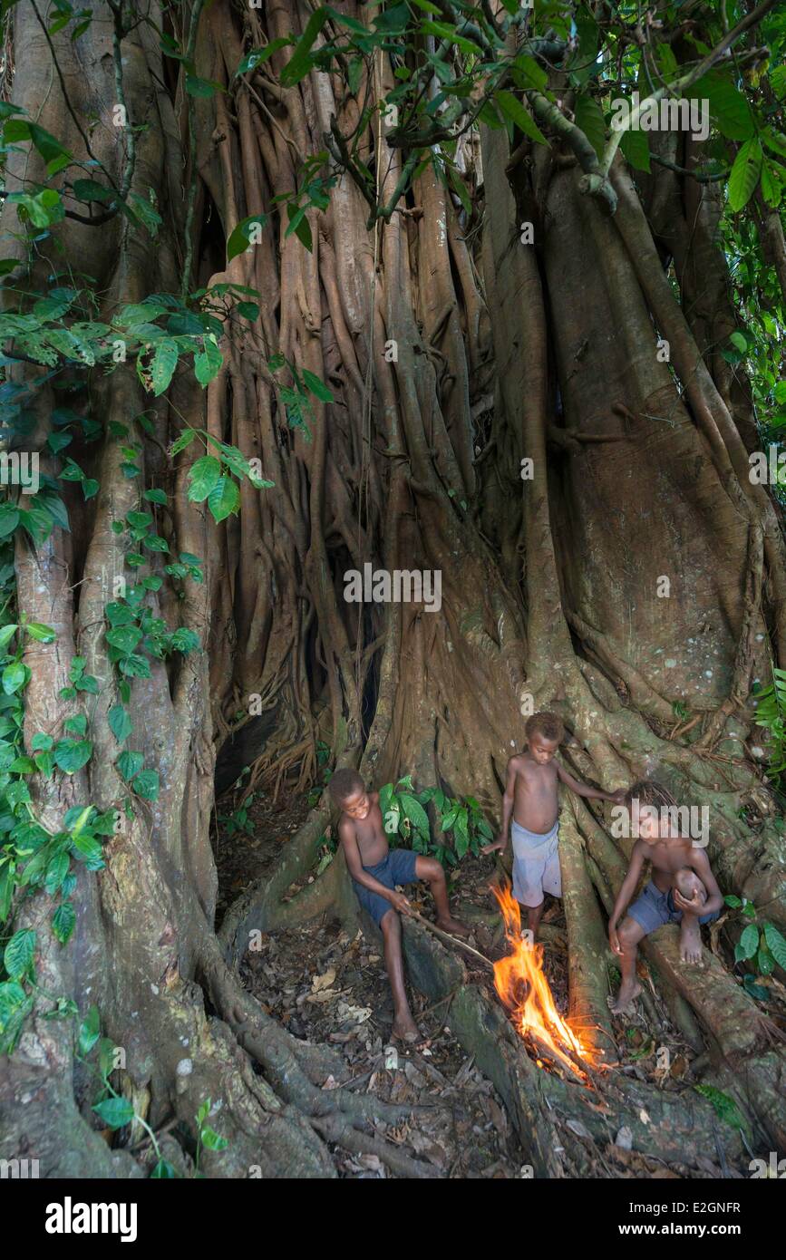 Papua New Guinea New Britain island West New Britain province Talasea ...