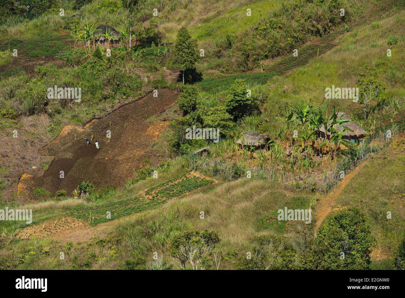 Papua New Guinea Western Highlands Province Wahgi Valley Mendi area ...